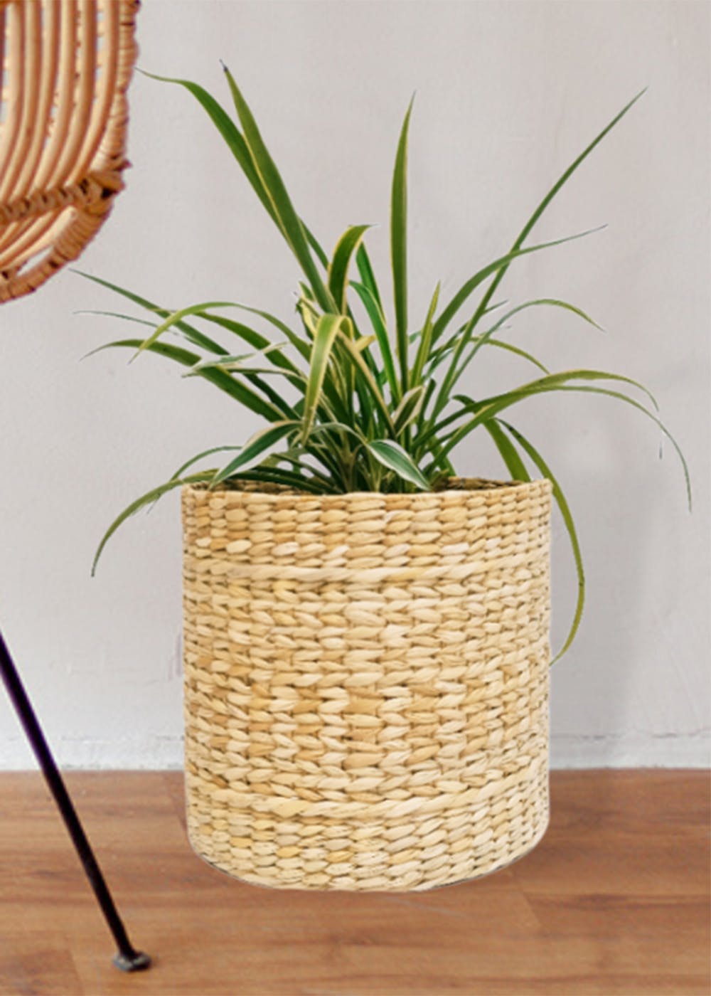 Get Kouna Indoor Planter at ₹ 1129 | LBB Shop