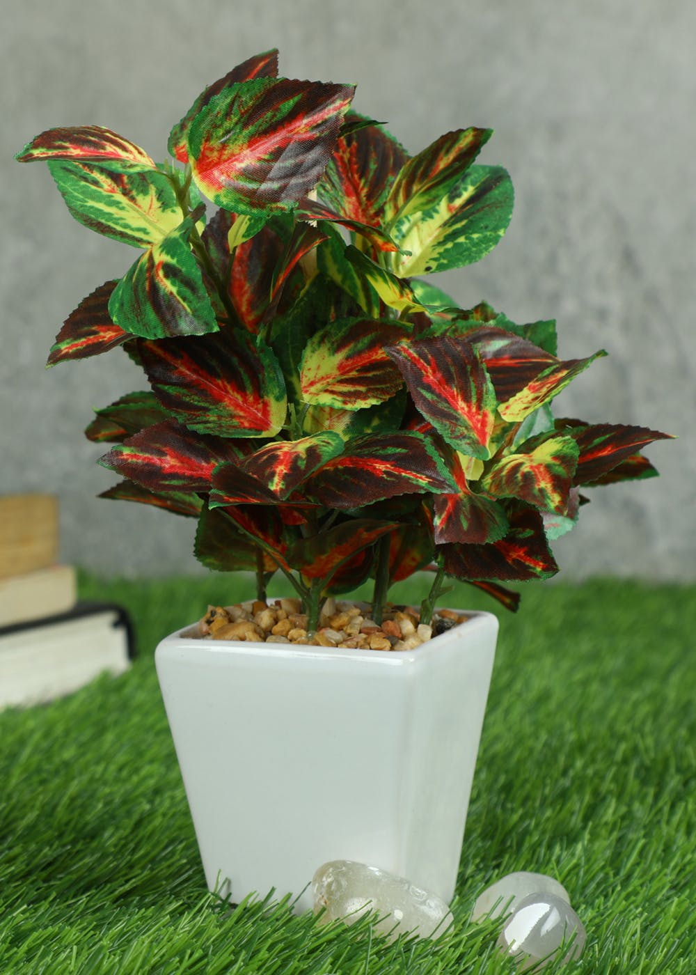 Get Artificial Coleus Bonsai with White Ceramic Pot at ₹ 731 | LBB Shop