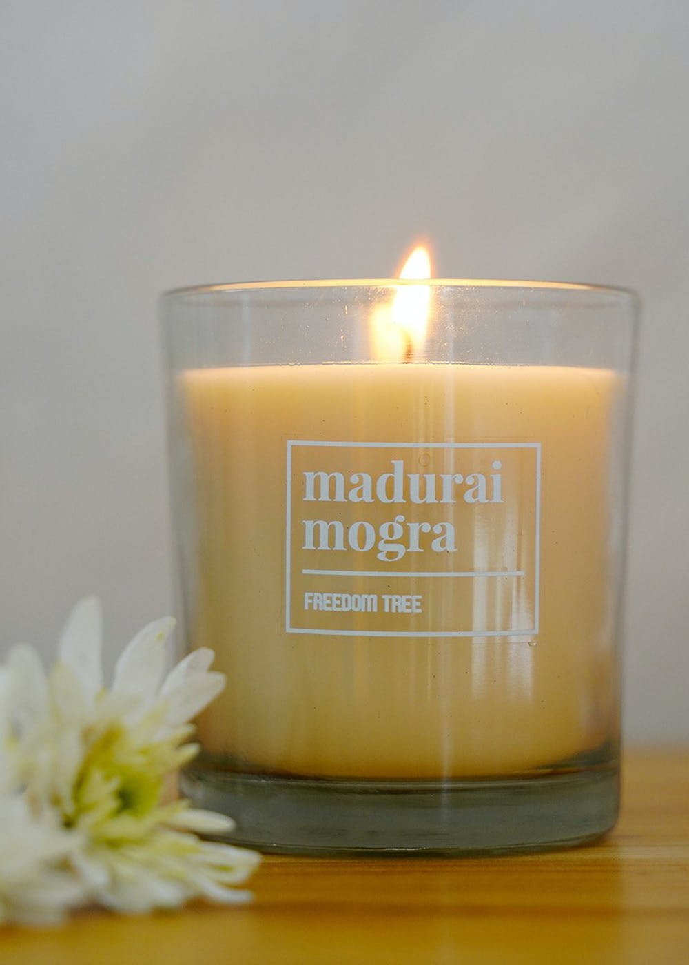 Shop Home Decor Online From Freedom Tree | LBB, Delhi