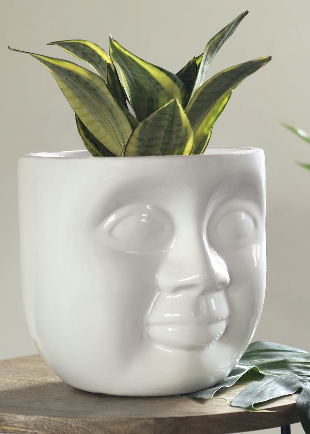 Get White Face Planter- Kids at ₹ 1299 | LBB Shop