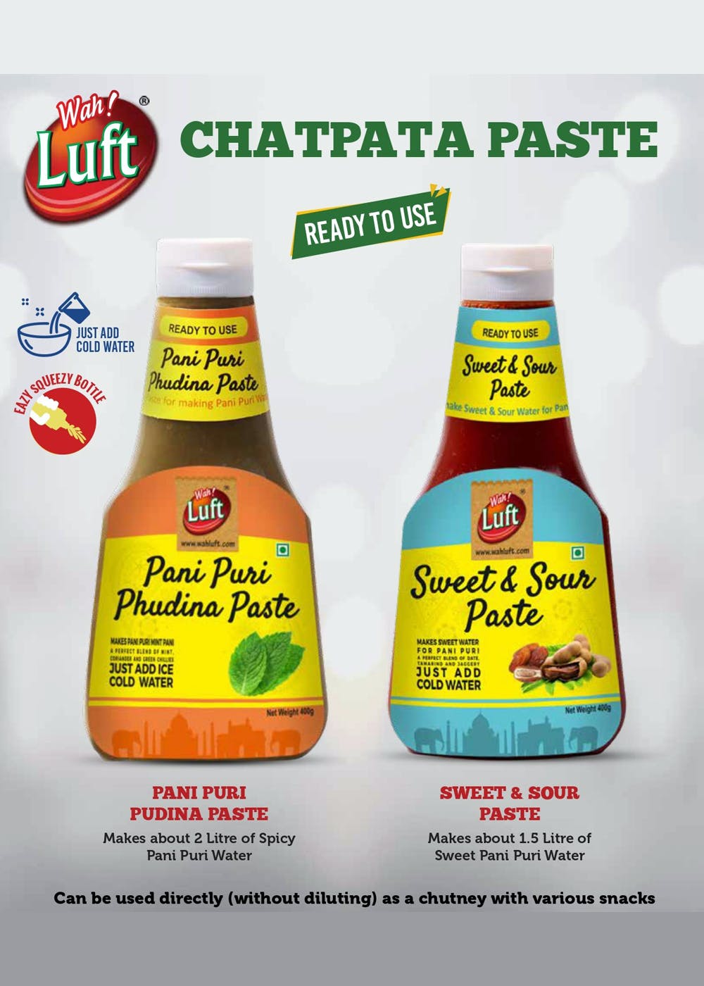 Get Pani Puri Pudina Paste & Sweet & Sour Paste - Pack of 2 (400g Each ...