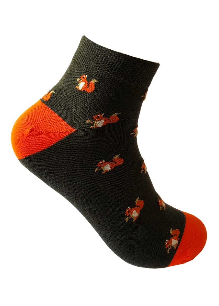 Get Squirrel & Nut Ankle Socks at ₹ 350 | LBB Shop
