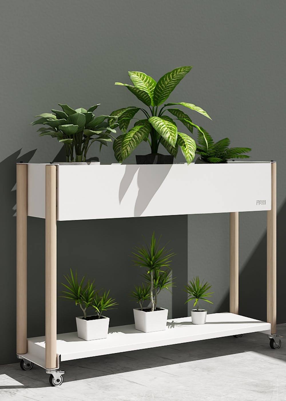 Get Ezee Planter - Medium at ₹ 10099 | LBB Shop