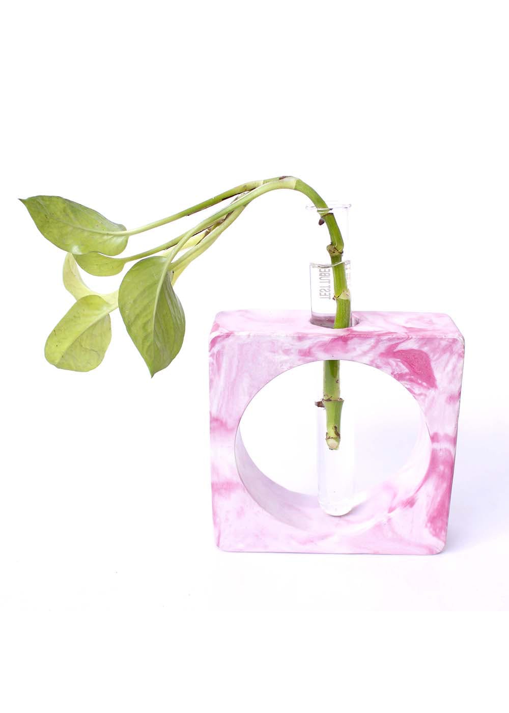 Get Square Test Tube Planter with Test Tube at ₹ 1299 | LBB Shop