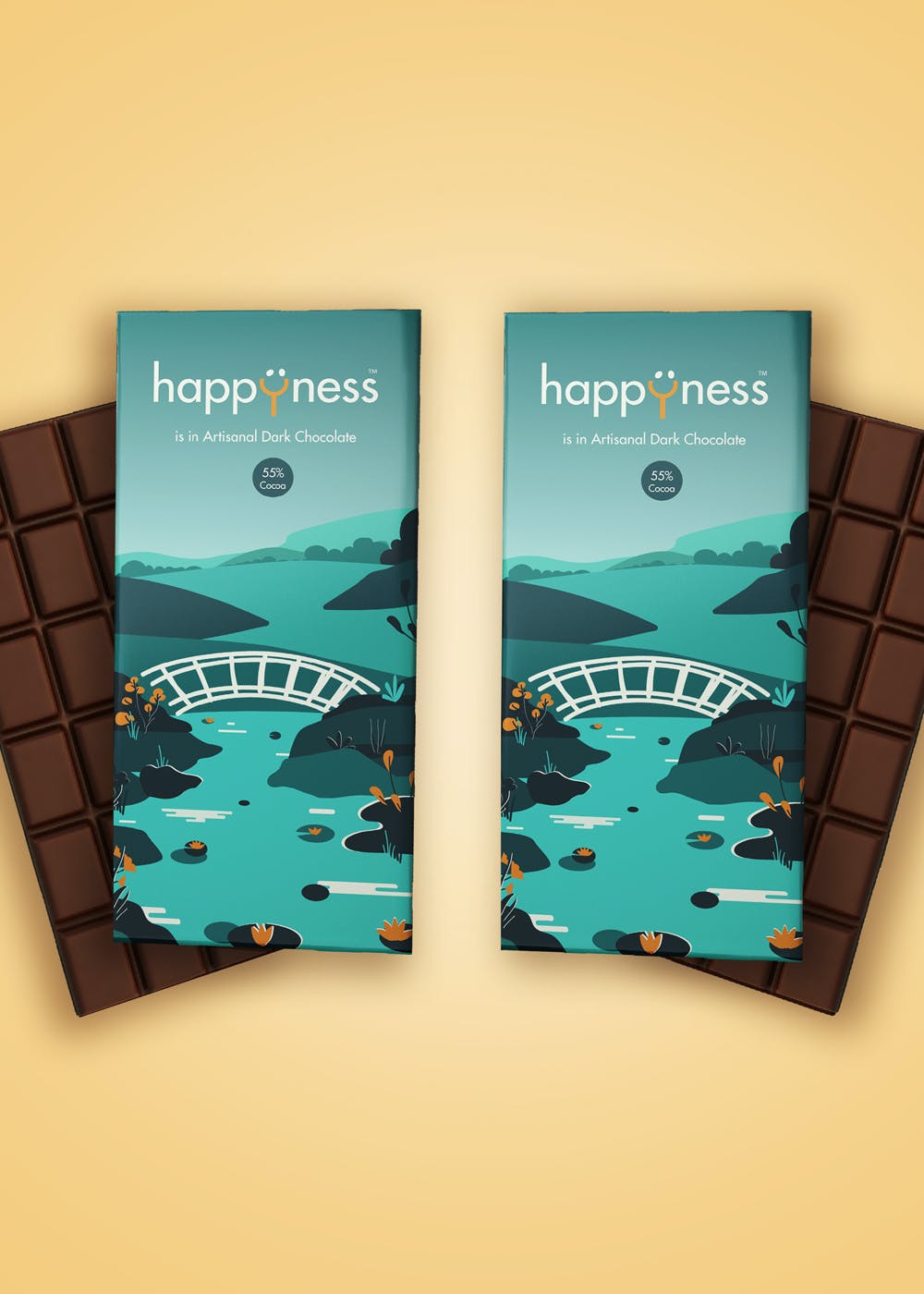 Get 55% Cocoa Artisanal Dark Chocolate Combo - Pack of 2 (100g Each) at ...