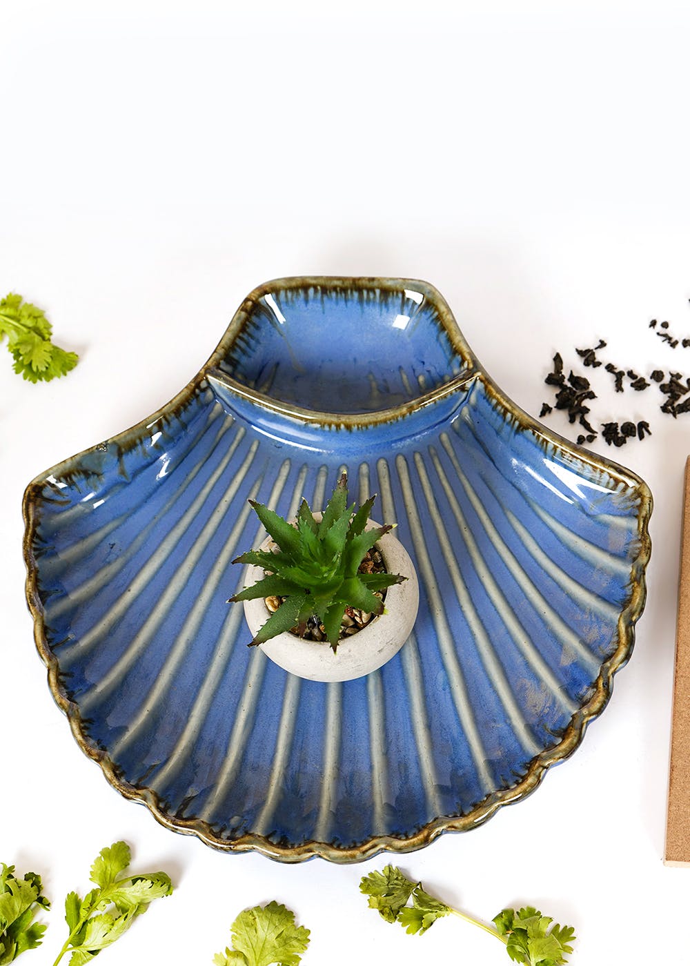 Get Blue Shell Platter at ₹ 1199 | LBB Shop