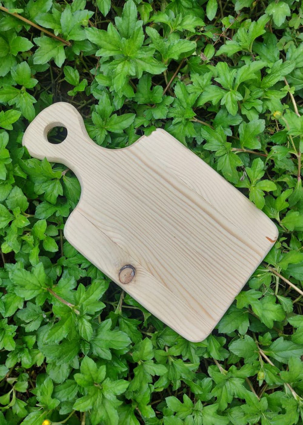 Get Small Rectangular Platter/Cheese Paddle at ₹ 650 | LBB Shop