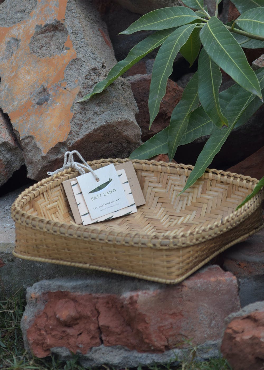 Get Bamboo Square Shallow Basket at ₹ 249 | LBB Shop