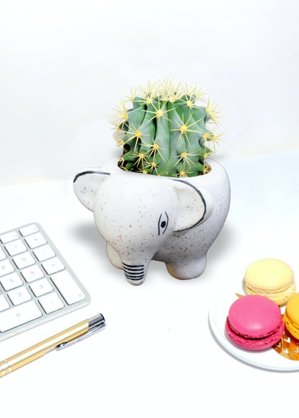 Get Cute Baby Elephant Planter in Ceramic at ₹ 479 | LBB Shop