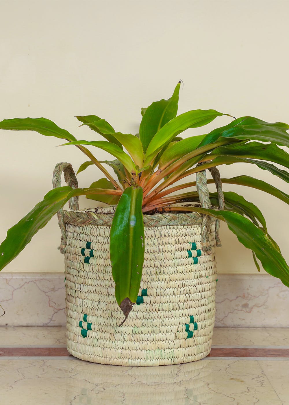 Get Sabai Fiber Floor Planter at ₹ 1250 | LBB Shop