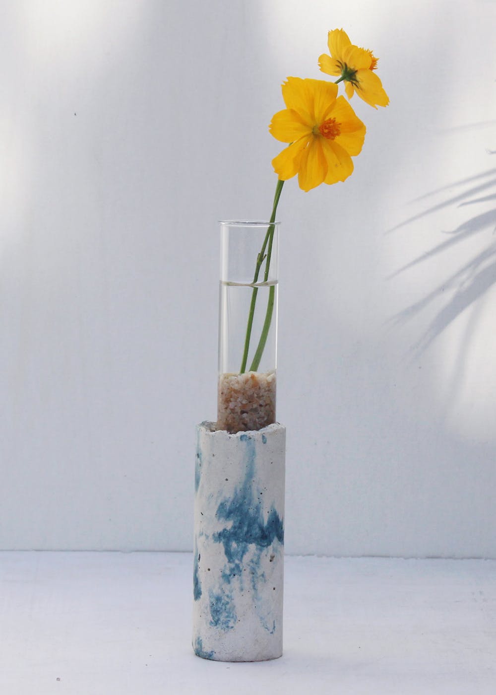 Get Concrete Test Tube Planter at ₹ 999 | LBB Shop