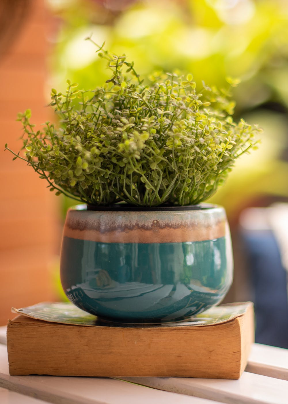 Get Textured Top Cyan Ivy Planter at ₹ 499 | LBB Shop