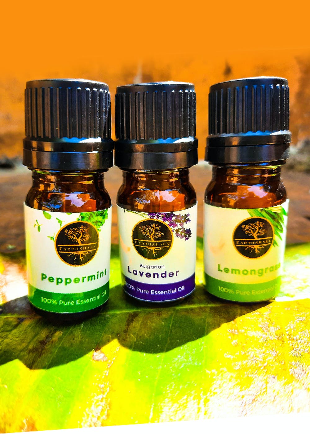 Get Essential Oils Combo- Lavender, Peppermint & Lemongrass at ₹ 529 ...