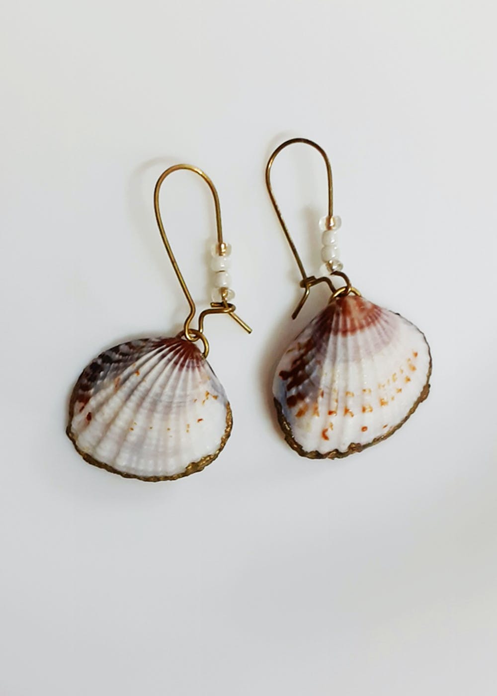 Get Minimalistic Sea Shell Earrings at ₹ 399 | LBB Shop