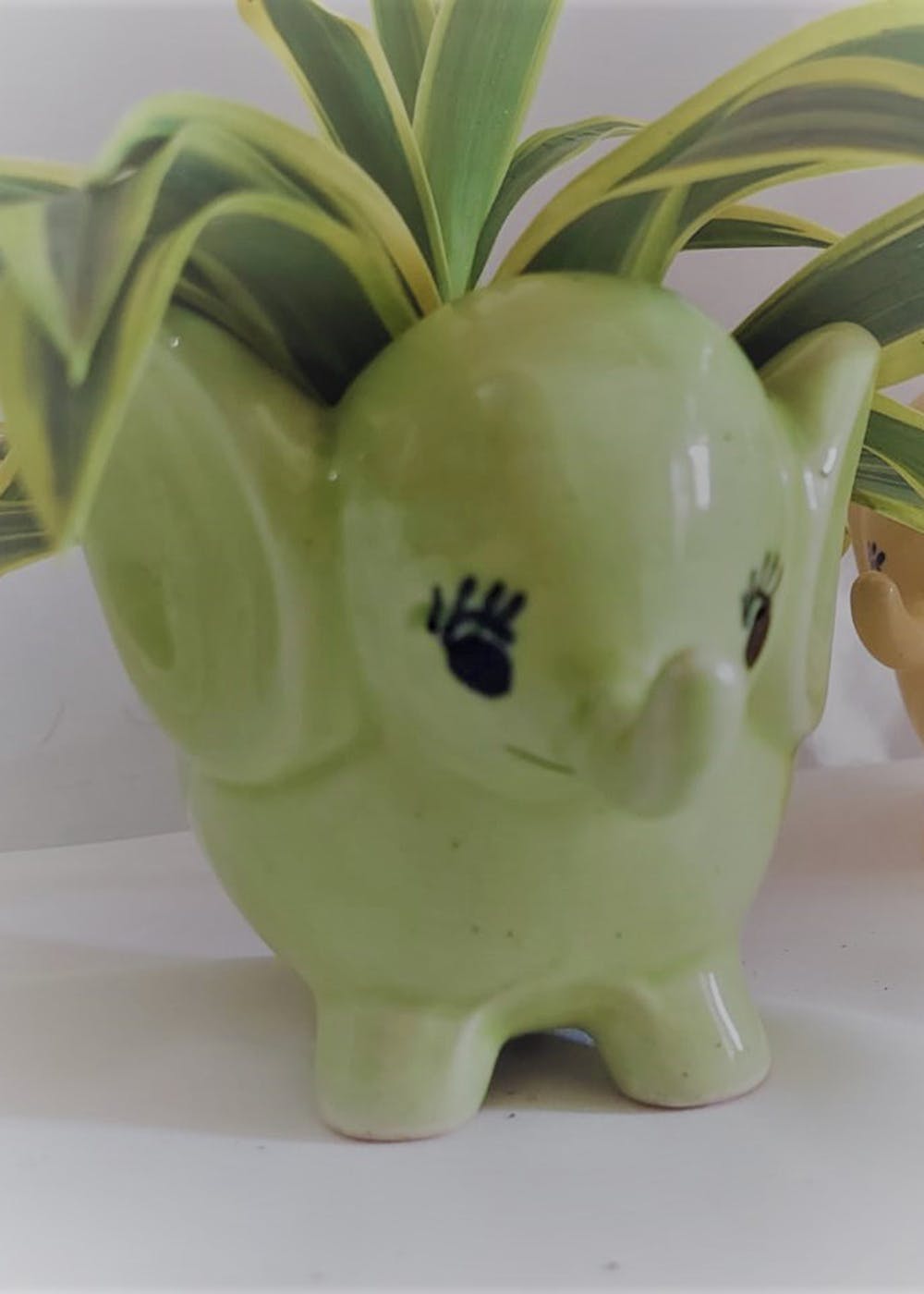 Get Elephant Planter at ₹ 349 | LBB Shop