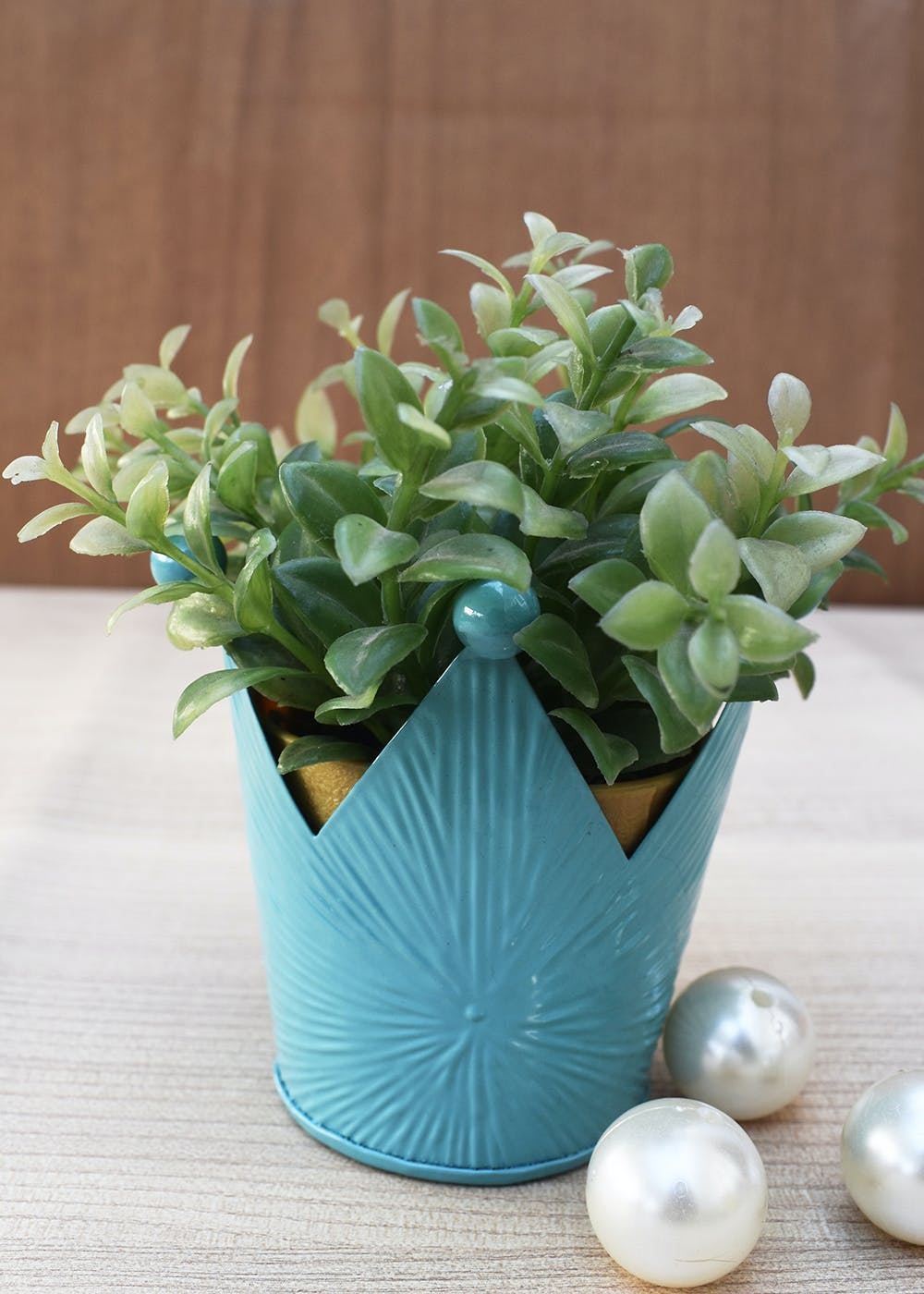Get Crown Planter Blue at ₹ 450 | LBB Shop