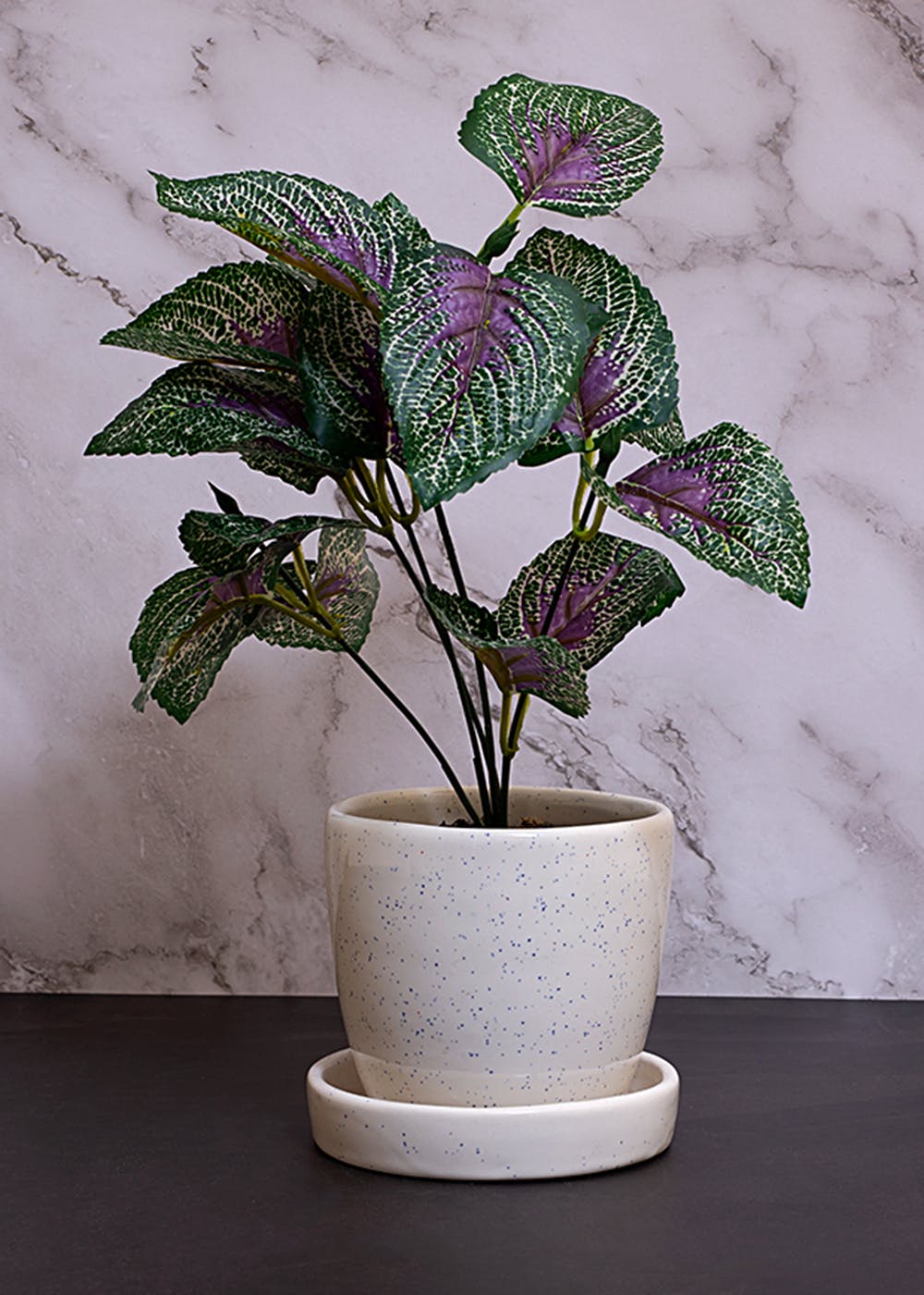 Get White Textured Ceramic Flower Pot Container Set at ₹ 450 | LBB Shop