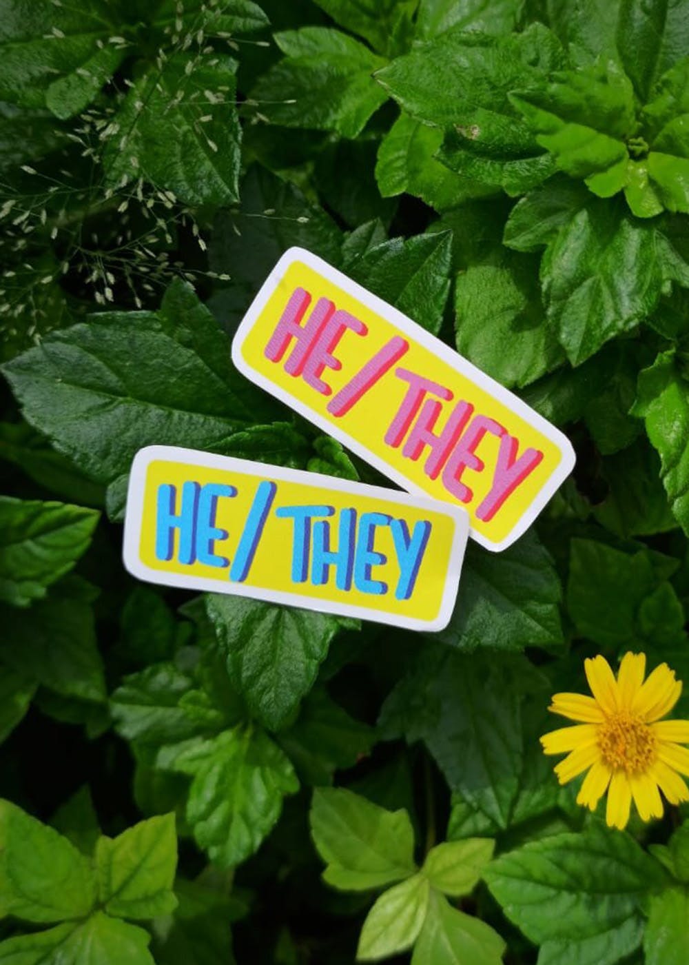 Get He/They Pronoun Sticker at ₹ 36 | LBB Shop