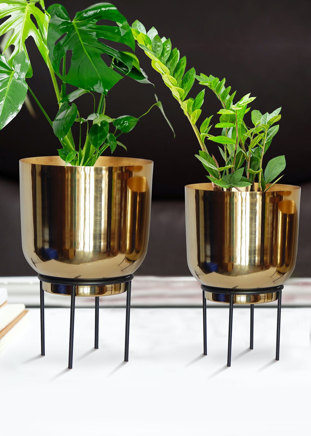 Get Golden Metal Plant Pot With Black Stand - Set of 2 at ₹ 1699 | LBB Shop