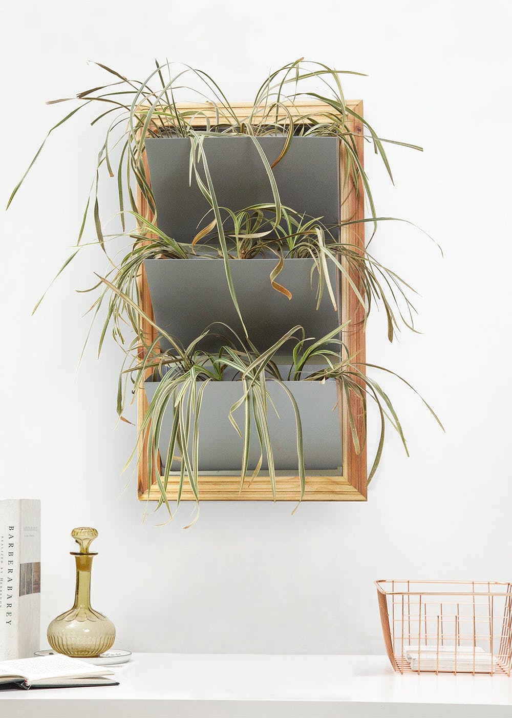Get Carling Vertical Planter at ₹ 3855 | LBB Shop