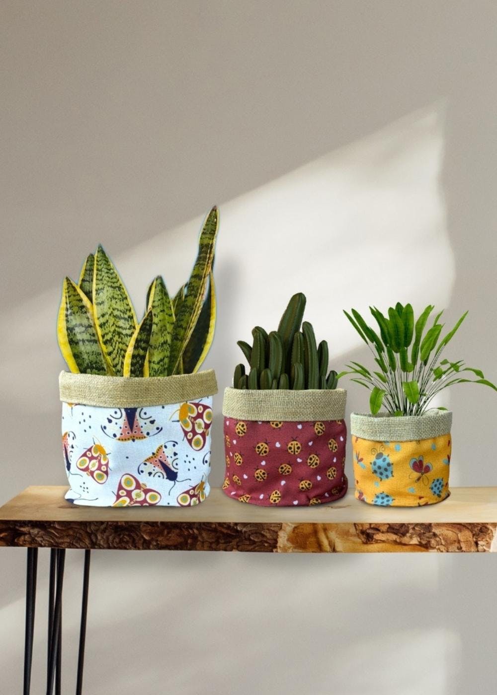 Get Bugs & Moth Jute Planter Basket- Set of 3 at ₹ 1121 | LBB Shop