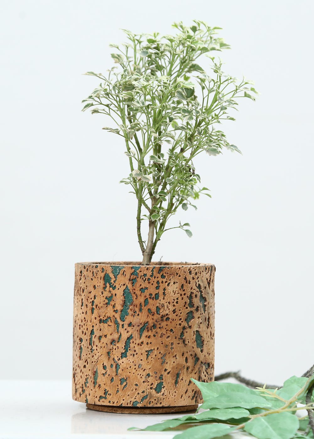 Get Cork Planter Aqua Round at ₹ 549 | LBB Shop
