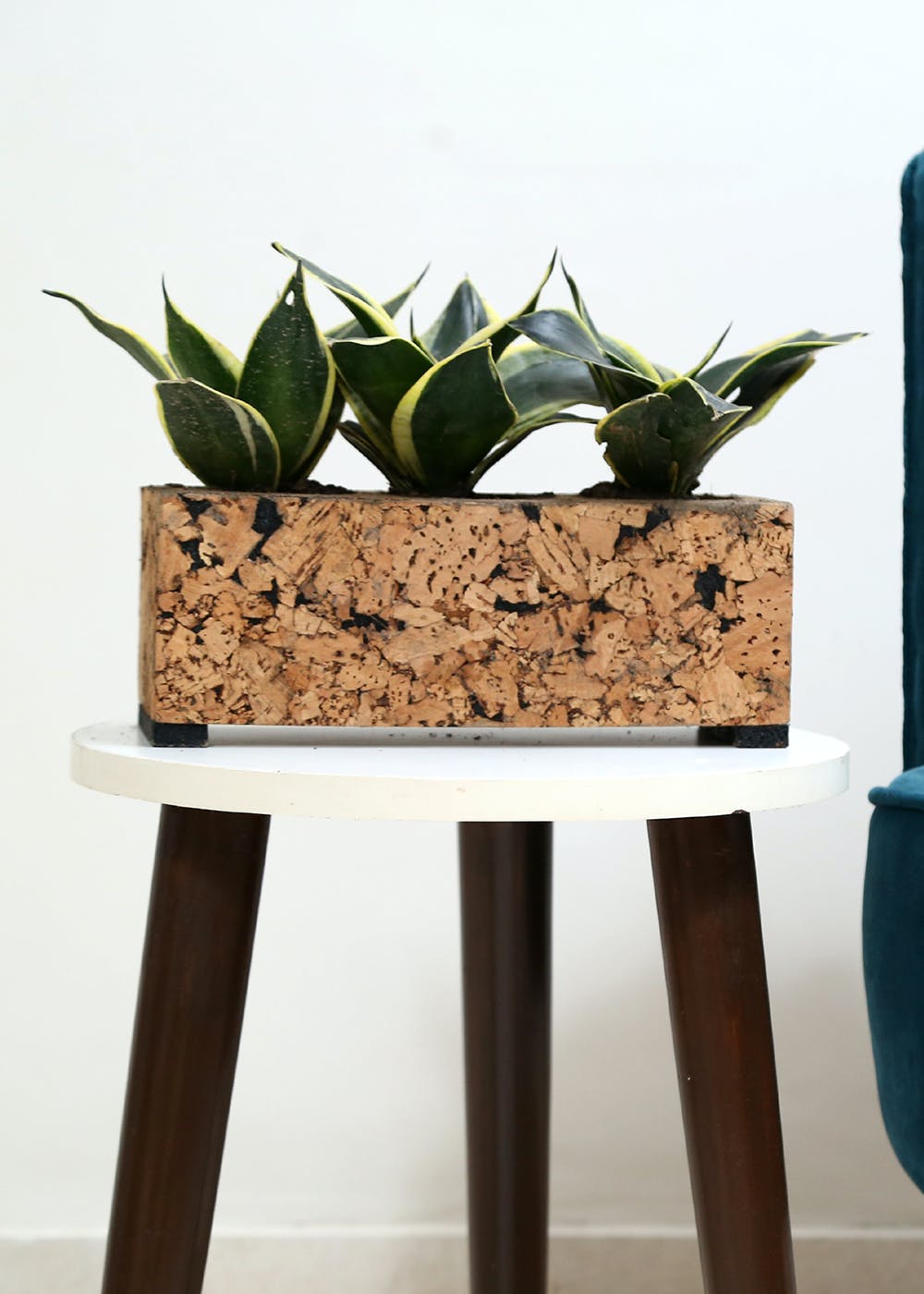 Get Cork Tri Planter at ₹ 1299 | LBB Shop
