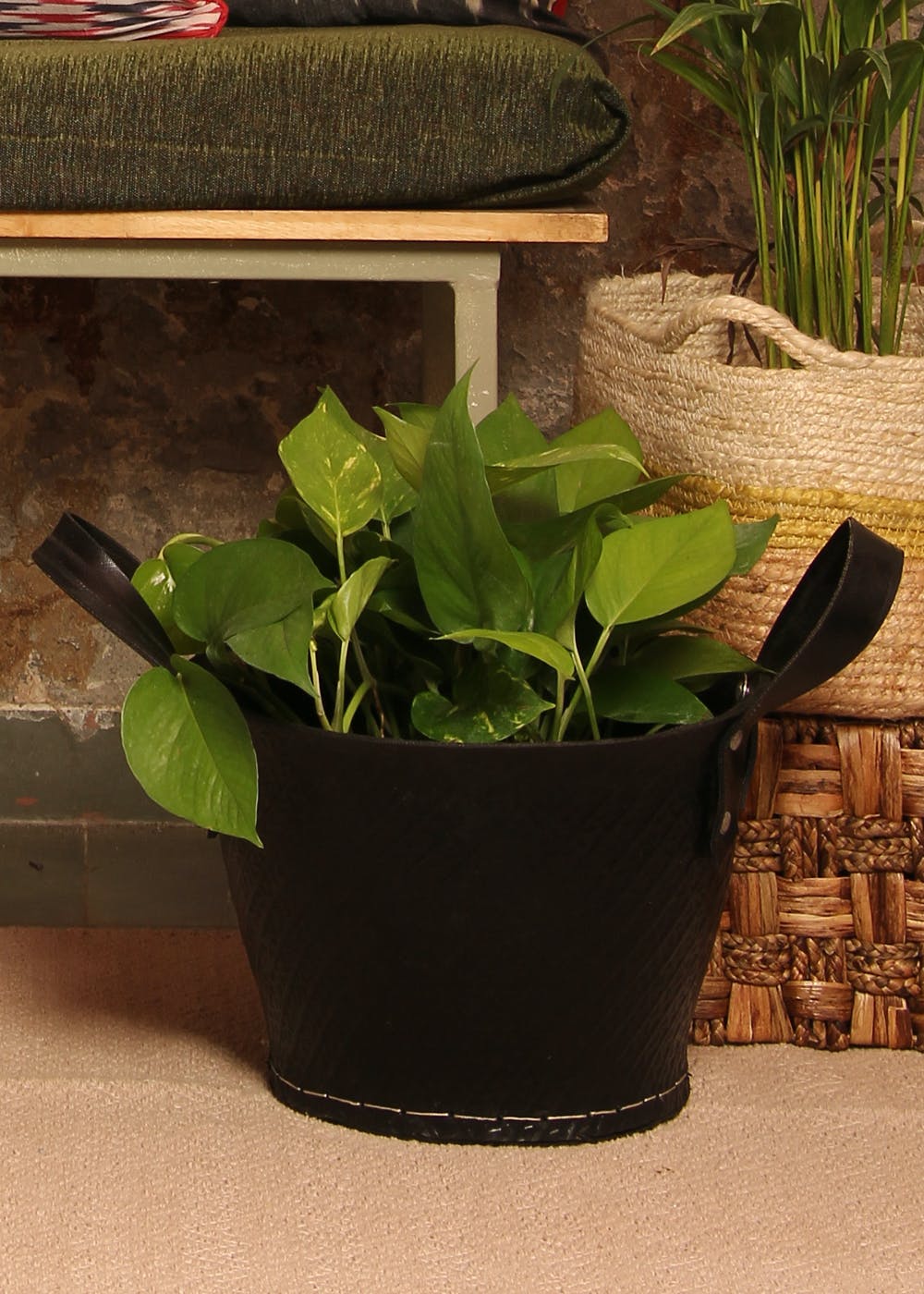 Get Unbreakable Flower Pot Rubber Planter with Handle at ₹ 883 | LBB Shop