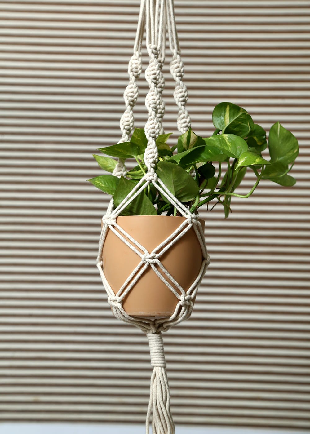Get Beautiful Macramé Hanging Planter at ₹ 349 | LBB Shop