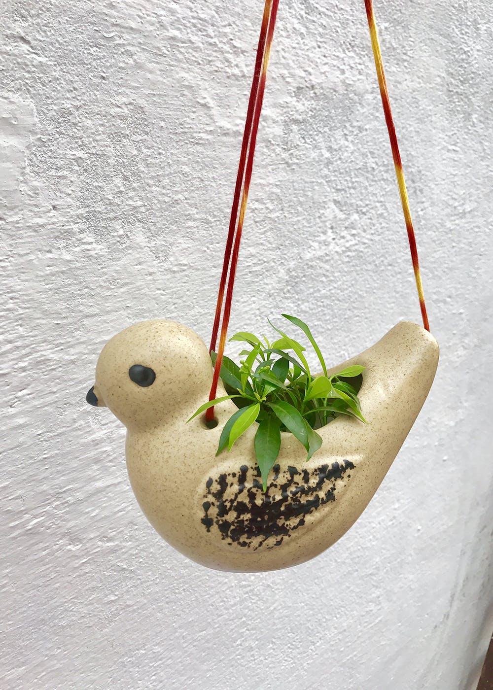 Get Ceramic Bird Hanging Planter at ₹ 470 | LBB Shop