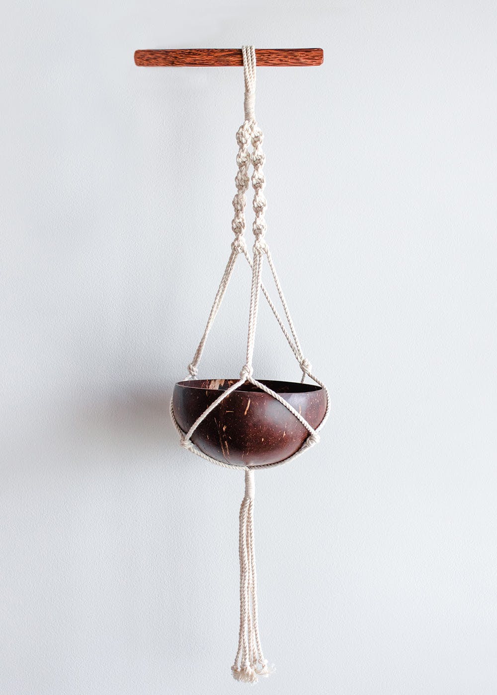 Get Coconut Shell Hanging Planter for Small Plants & Succulents ...
