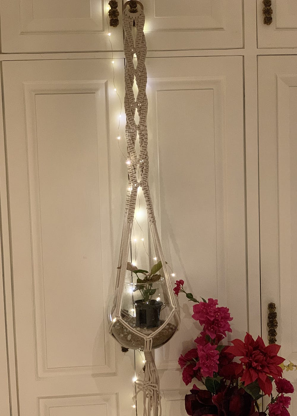 Get Macramé Snake Plant Hanger at ₹ 600 | LBB Shop
