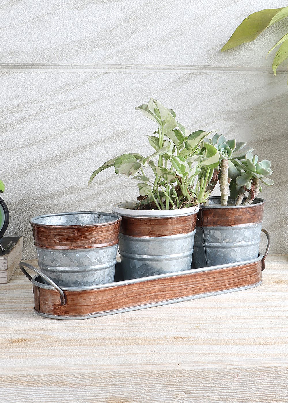 Get Brown & Silver Metal Table Planters With Tray Set Of 4 at ₹ 899 ...