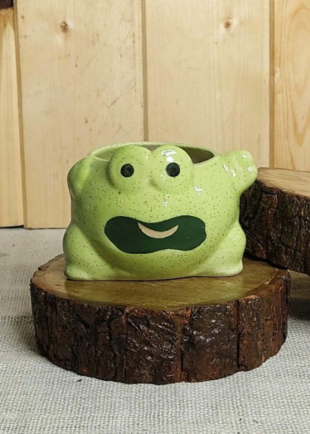 Get Jumping Frog Green Ceramic Pot at ₹ 439 | LBB Shop