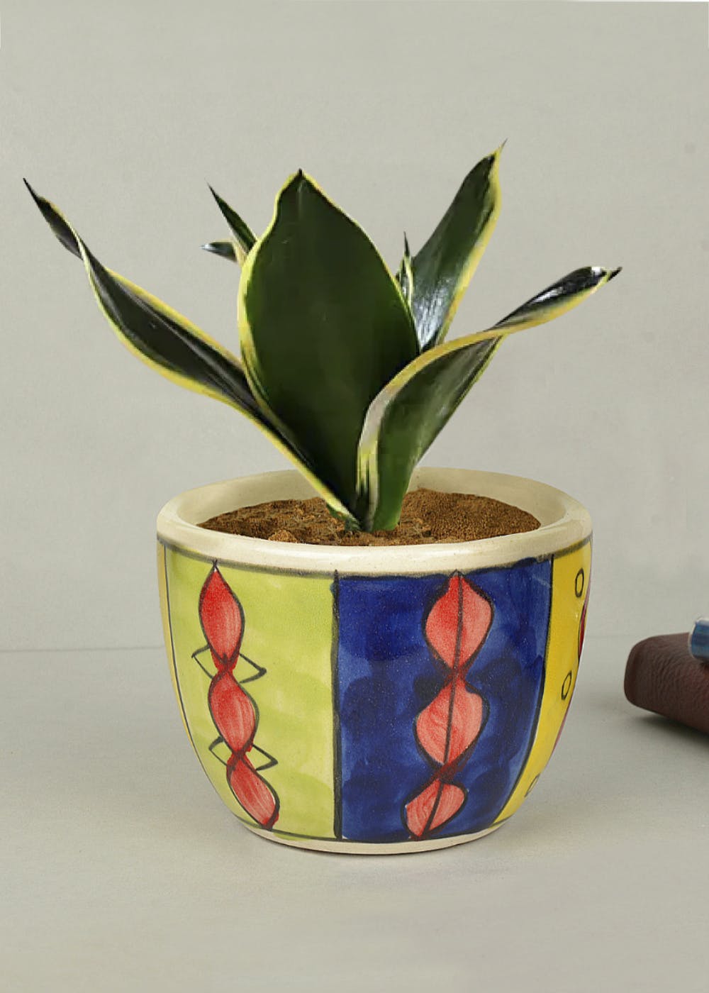 Get Multicolor Hand Painted Ceramic Planter Pot with Tray at ₹ 595 ...