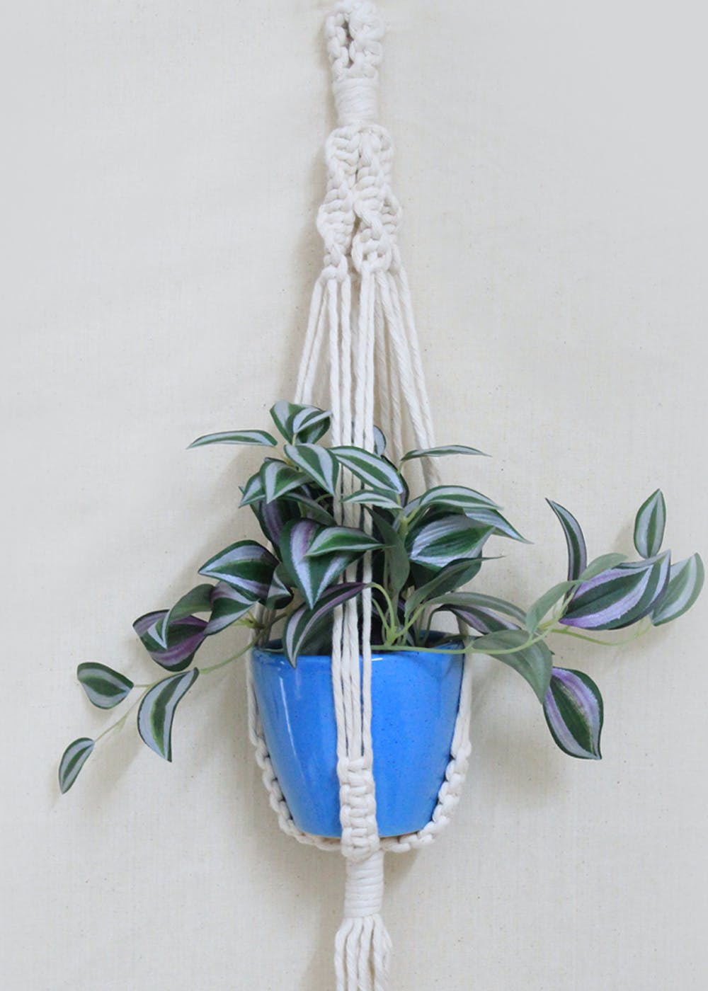 Get Classic Macramé Hanging Planter at ₹ 350 | LBB Shop