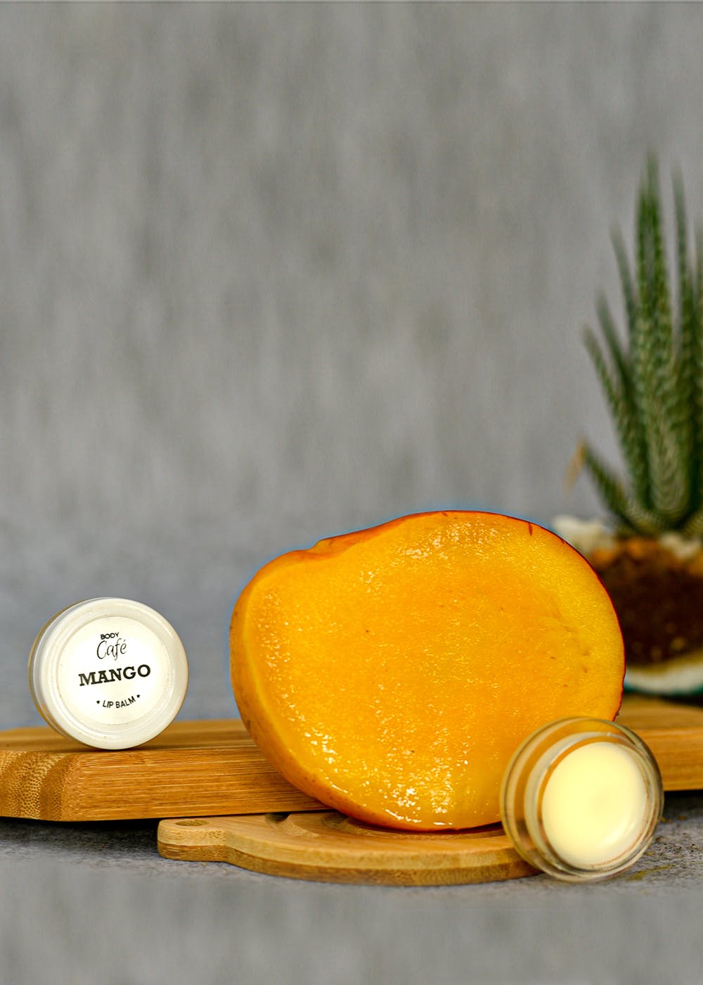 Get Mango Lip Balm- 10gm at ₹ 200 | LBB Shop