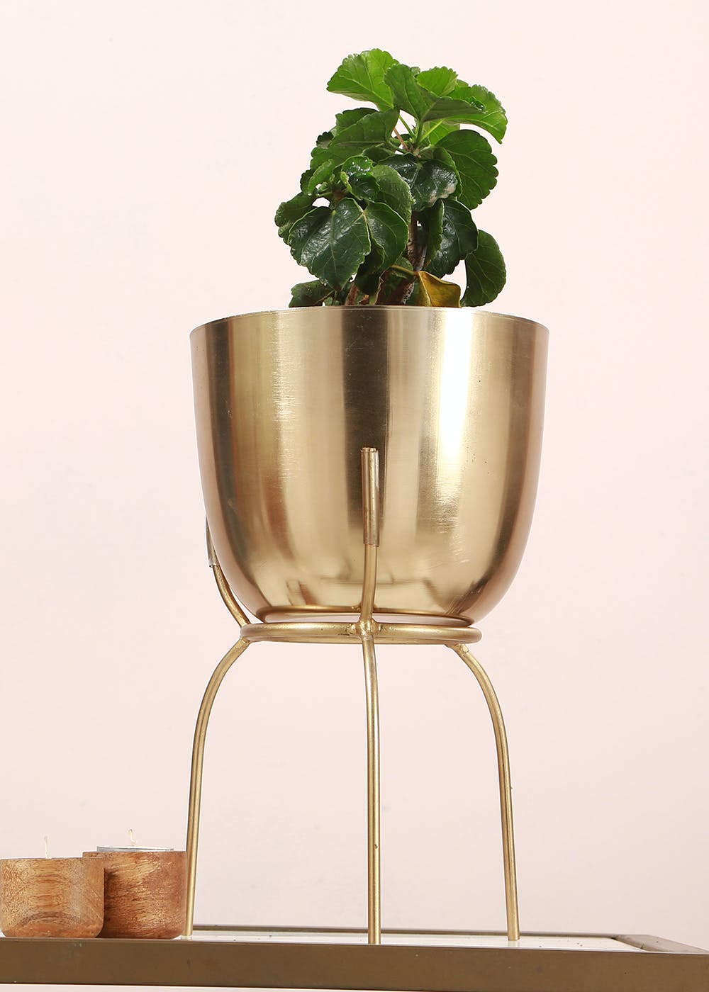 Get Golden Metal Planter with stand 12 inch tall at ₹ 1624 | LBB Shop