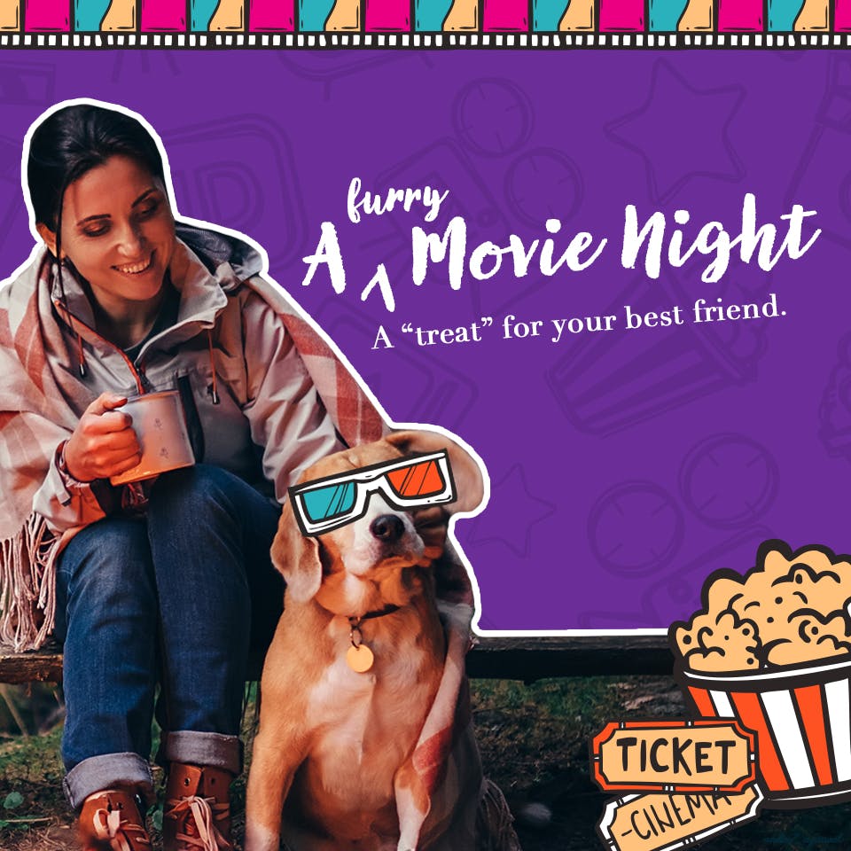 Get Movie & Dinner With Pets At Canine Elite at ₹ 1999 | LBB Shop