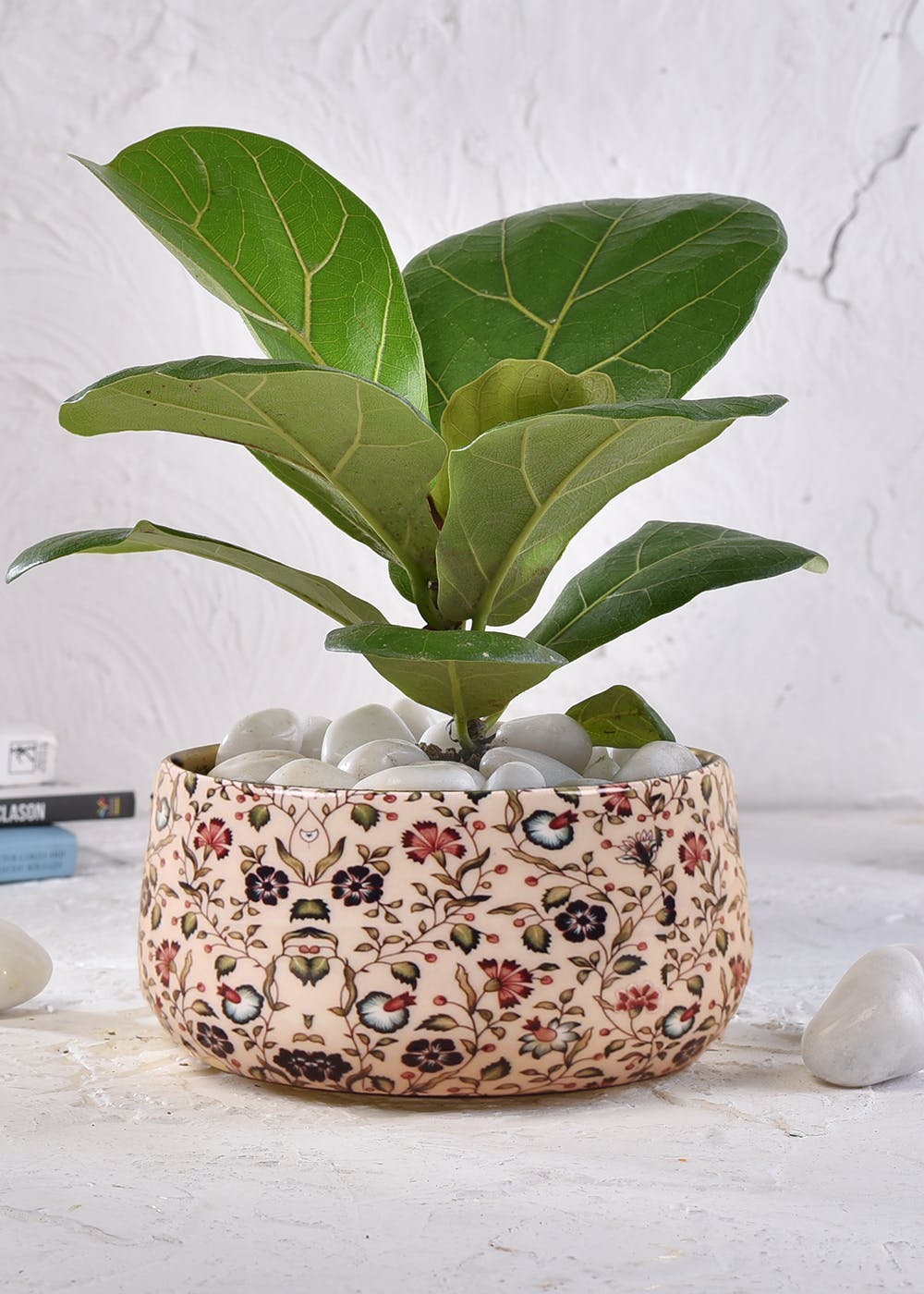 Get Metal Planter Pot for Indoor Plants & Flowers | 5.5 x 3 in | Table ...