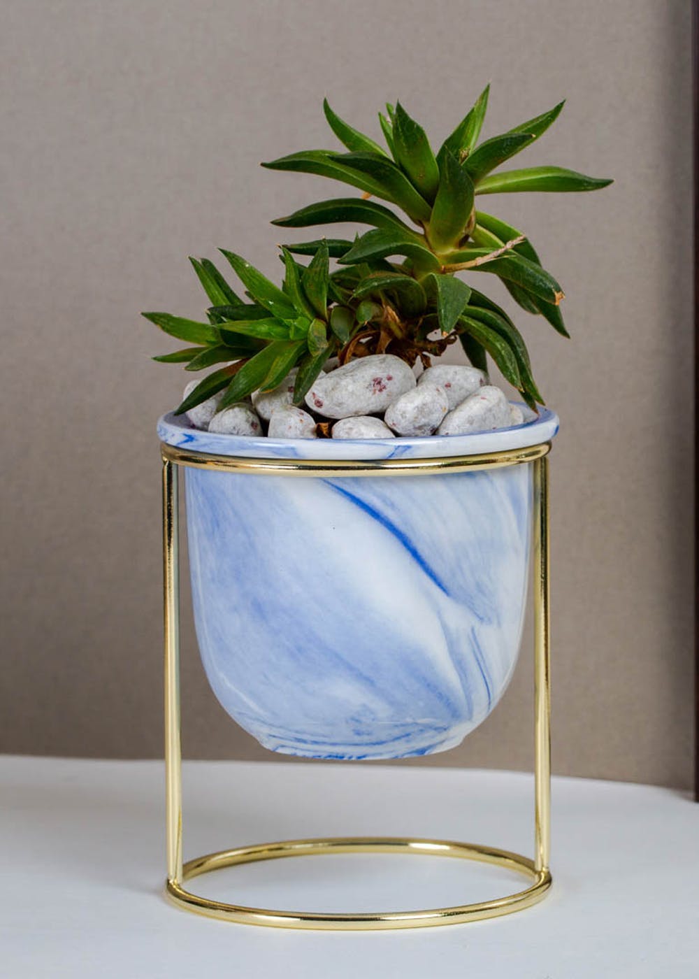 Get Oasis Planter at ₹ 1099 | LBB Shop
