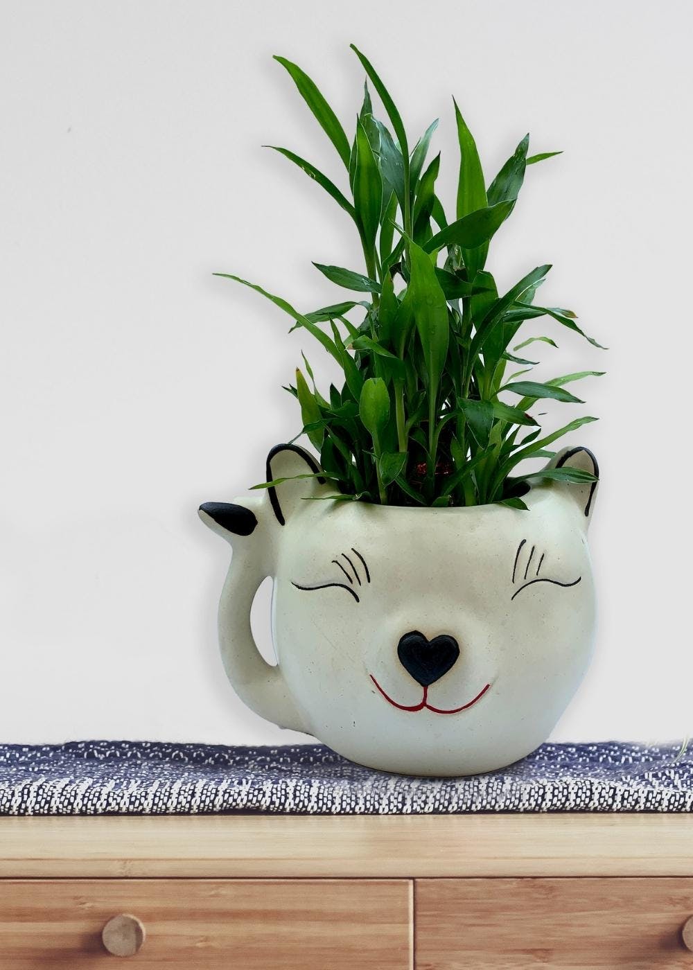 Get Cute Cat Ceramic Planter at ₹ 1151 | LBB Shop