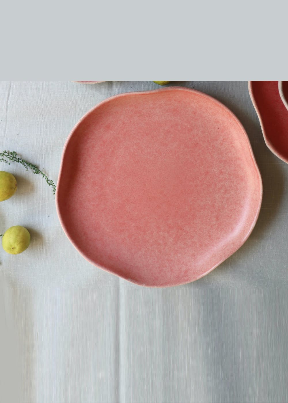 Get Peony Dinner Plate - Set of 2 at ₹ 1599 | LBB Shop