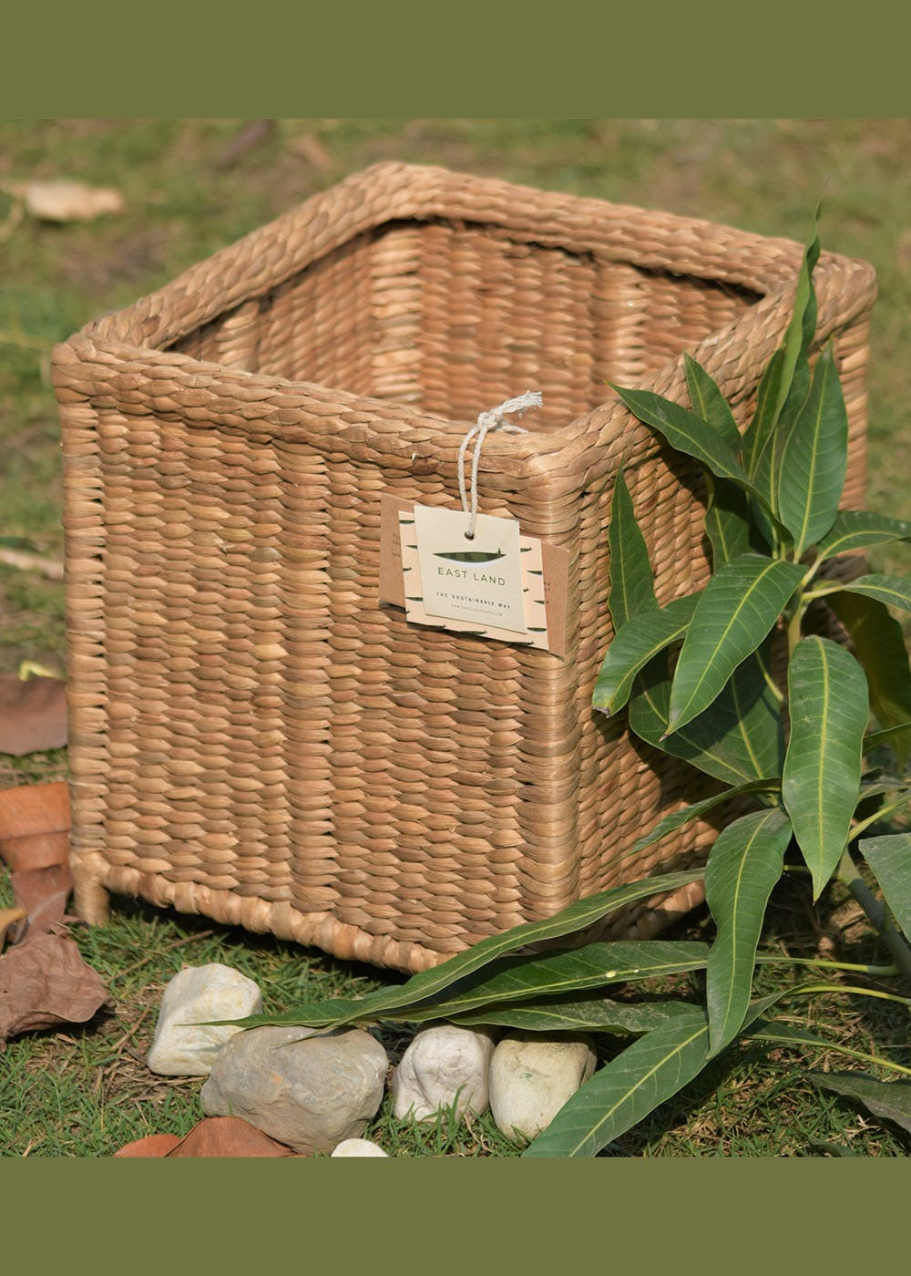 Get Square Planter with Cane Frame at ₹ 1199 | LBB Shop