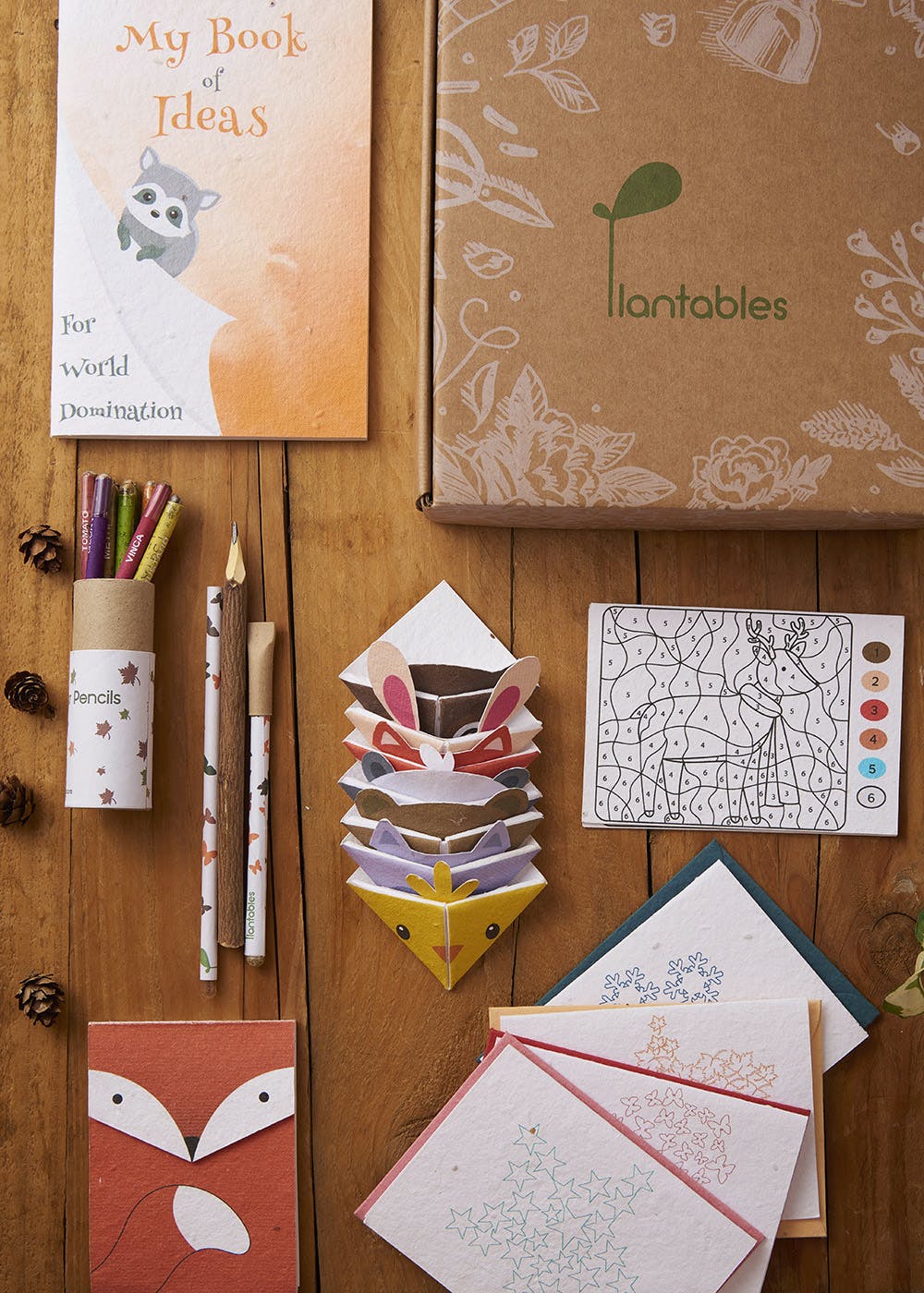 Get Junior Seed Paper Stationery Kit at ₹ 1039 | LBB Shop