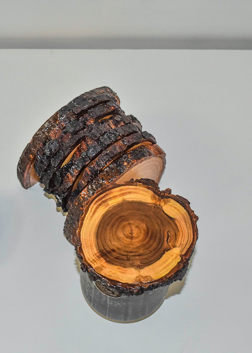 Get Real Tree Log Coasters (Set of 6) at ₹ 1230 | LBB Shop