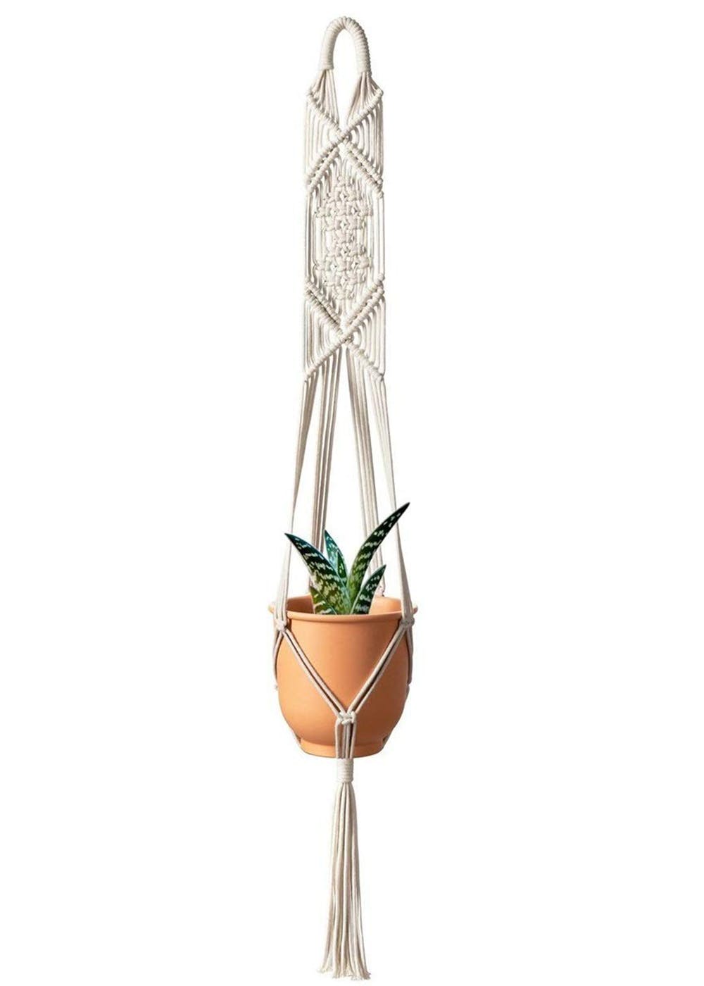 Get White Knotted Design Macrame Cotton Plant Hanger at ₹ 319 | LBB Shop