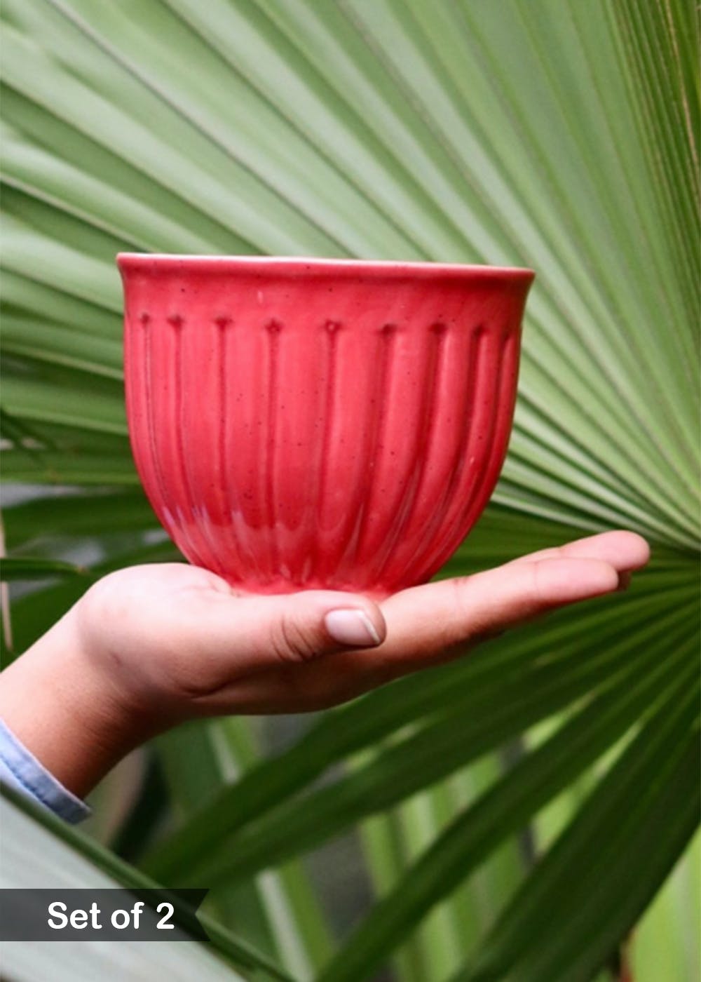 Get Solid Ceramic Planter - Set of 2 at ₹ 1099 | LBB Shop
