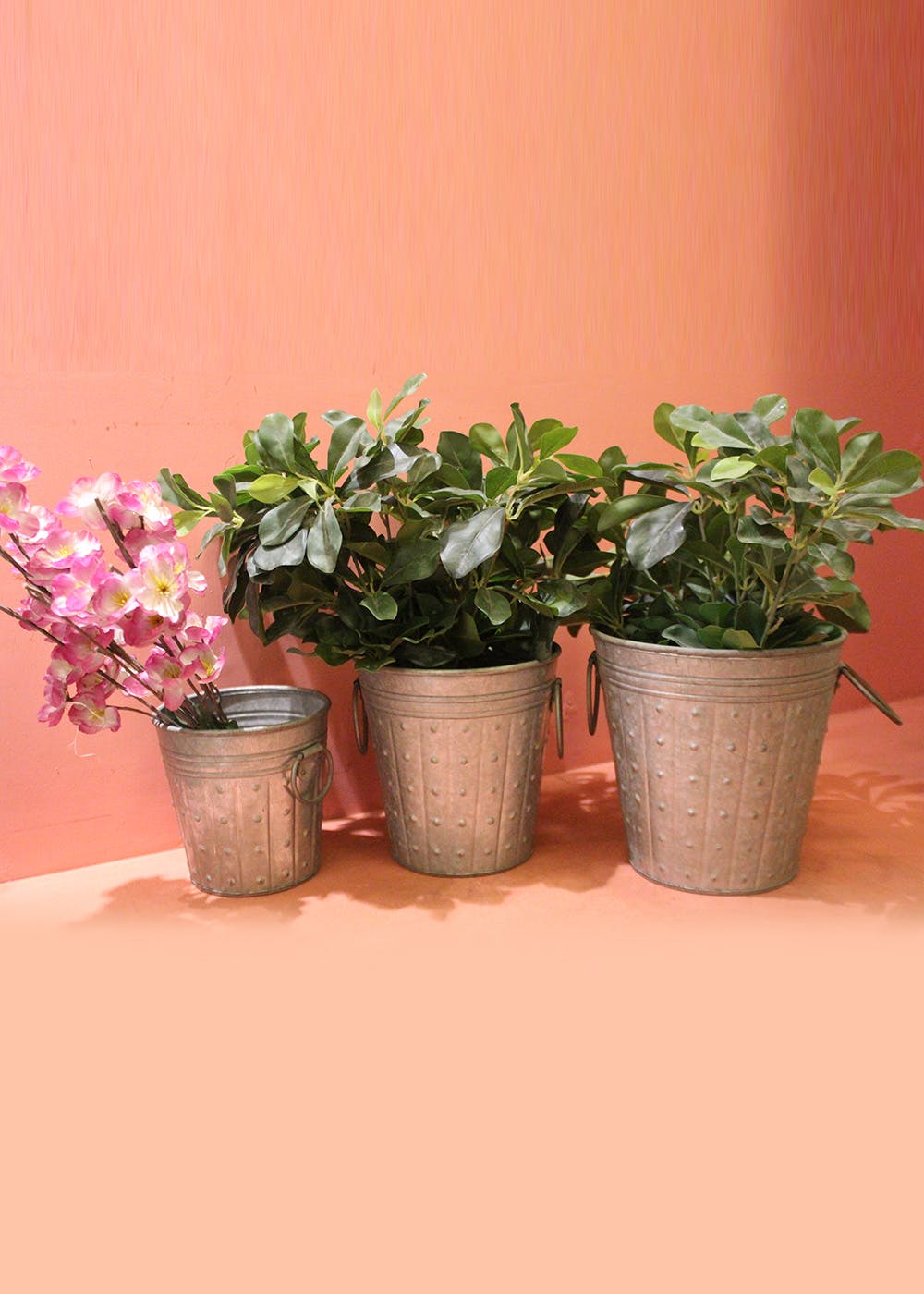 Get Round Hammered Metal Planter - Set of 3 at ₹ 1799 | LBB Shop