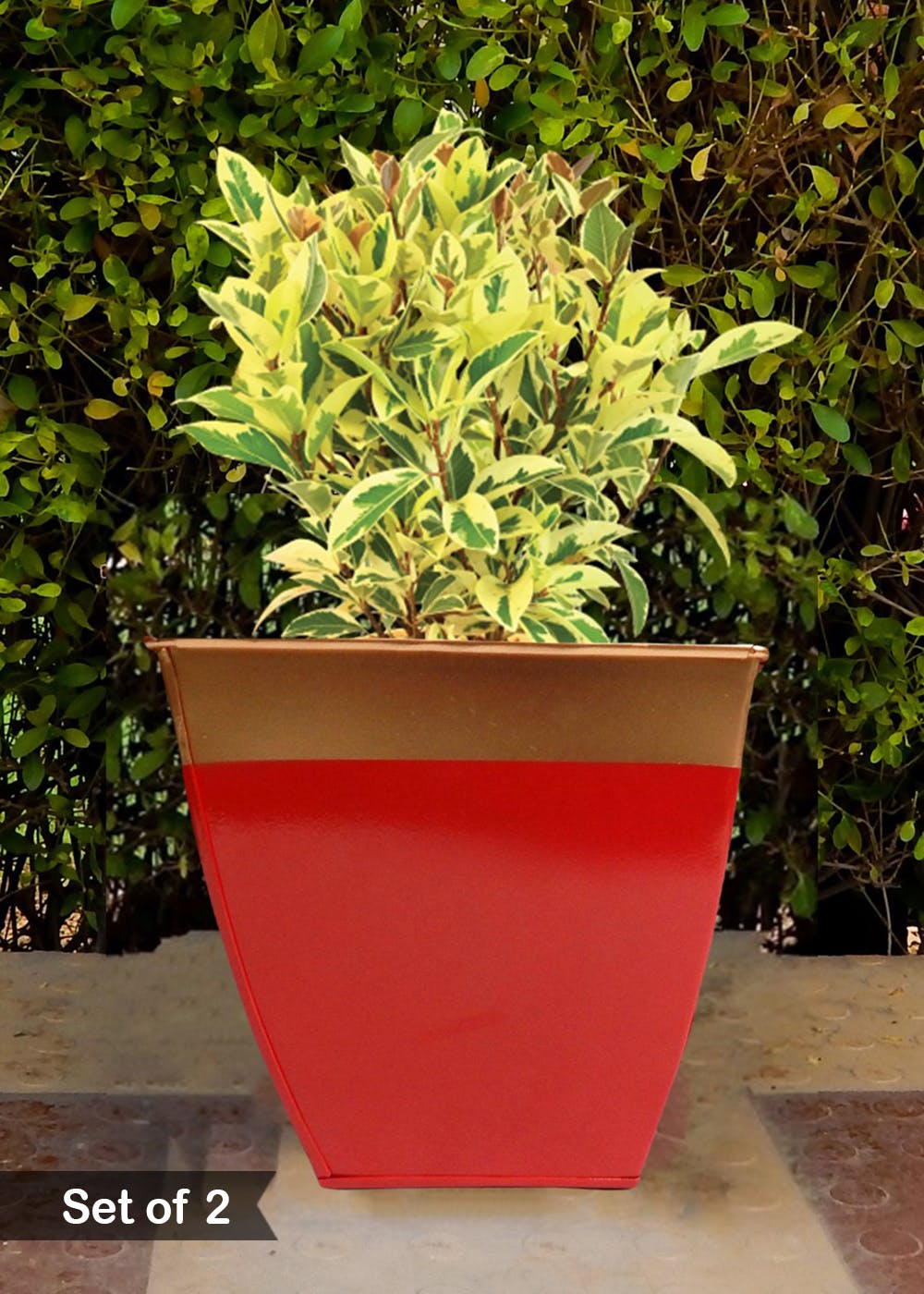 Get Small Red Metal Planter with Gold Trim - Set of 2 at ₹ 882 | LBB Shop